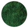 À propos de la mousse stabilisée | Lichen scandinave | OriginalMoss