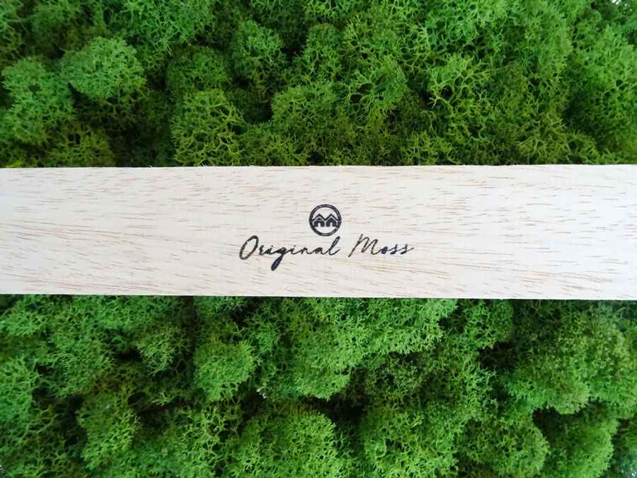 À propos de nous | Notre atelier | OriginalMoss.com